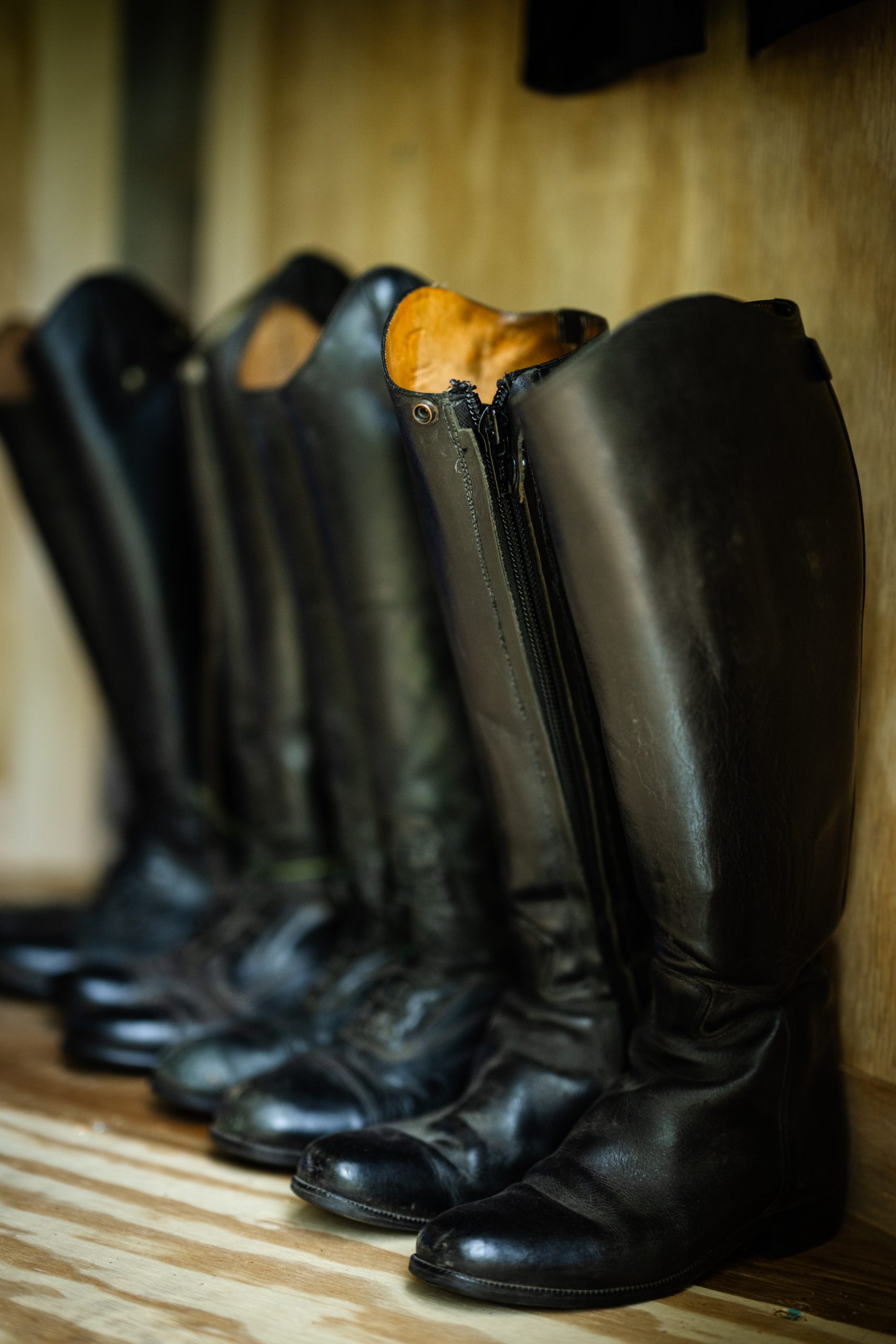 Loose Horse Tack | English horseback riding based in Virginia